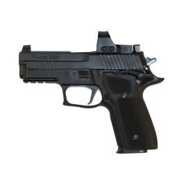 P229 Legion RXP Compact SAO LE